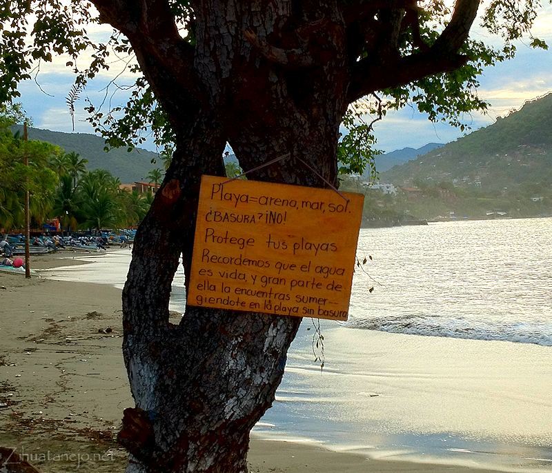 Zihuatanejo-Ixtapa Message Board - Z Waterfront Scene