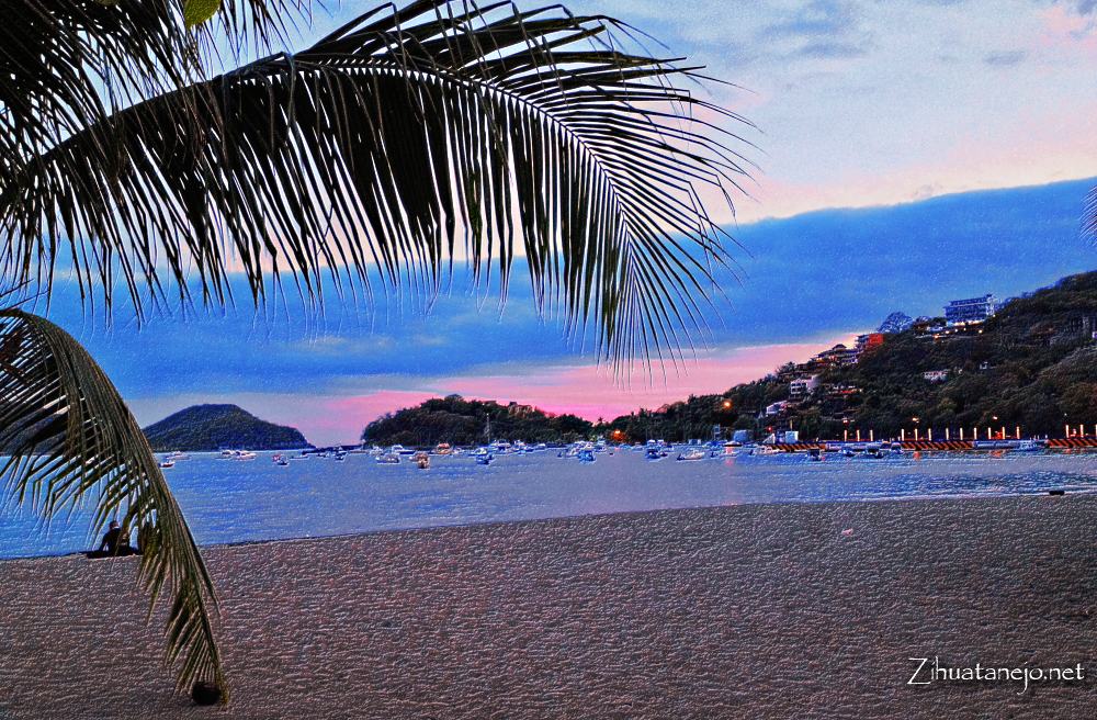 Zihuatanejo-Ixtapa Message Board - Still of Z Night